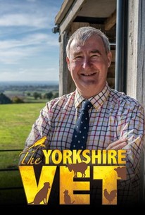 The Yorkshire Vet: Season 8 | Rotten Tomatoes