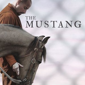 The Mustang - Rotten Tomatoes