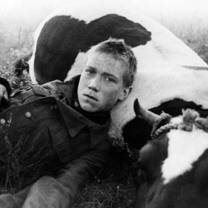 Aleksey Kravchenko - Rotten Tomatoes