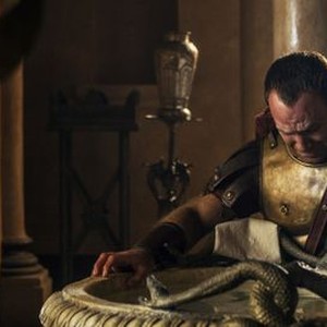 Will Thorp - Rotten Tomatoes