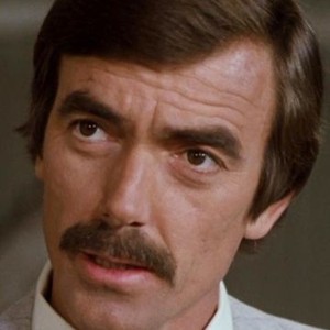 Erik Estrada Chips Mustache