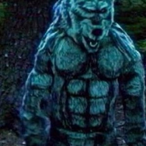 Lycan Colony - Rotten Tomatoes