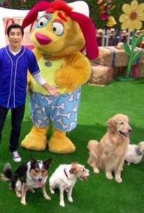 Mutt & Stuff: Season 2, Episode 11 | Rotten Tomatoes