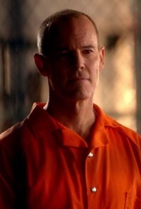 CSI: Miami: Season 7, Episode 19 - Rotten Tomatoes