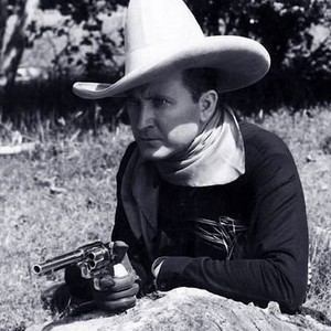 Texas Wildcats - Rotten Tomatoes