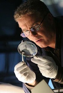 CSI: Crime Scene Investigation - Season 7 Episode 7 - Rotten Tomatoes