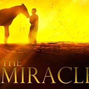 The Miracle - Rotten Tomatoes