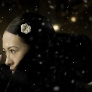 The Grandmaster - Rotten Tomatoes