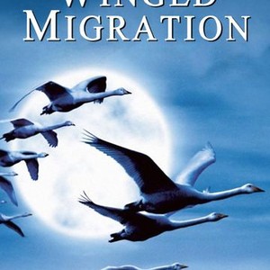 Winged Migration - Rotten Tomatoes