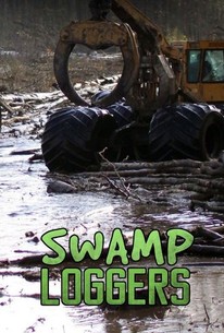 Swamp Loggers: Season 3 | Rotten Tomatoes