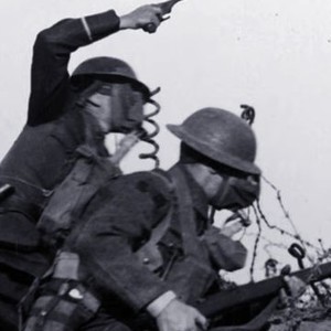 Soldier's Stories - Rotten Tomatoes