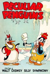 Peculiar Penguins | Rotten Tomatoes