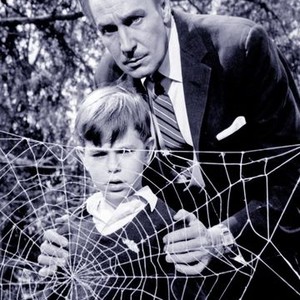 The Fly - Rotten Tomatoes