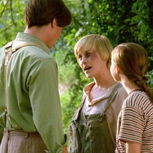 Wildflower - Rotten Tomatoes