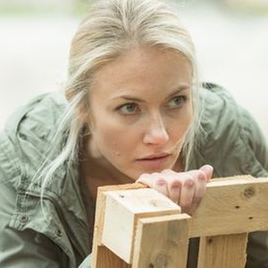 Transporter: The Series: Season 2, Episode 5 - Rotten Tomatoes