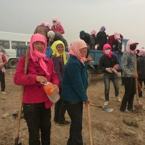 Red Obsession - Rotten Tomatoes