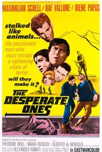 The Desperate Ones | Rotten Tomatoes