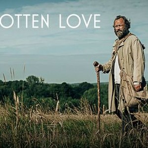 Forgotten Love - Rotten Tomatoes
