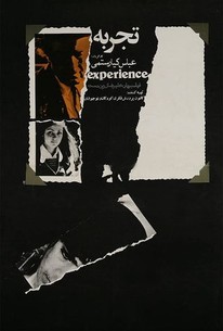 The Experience | Rotten Tomatoes