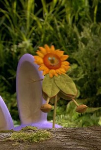 Waybuloo: Season 3, Episode 28 - Rotten Tomatoes