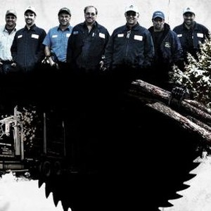 American Loggers - Rotten Tomatoes