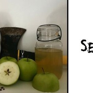 Seeds - Rotten Tomatoes