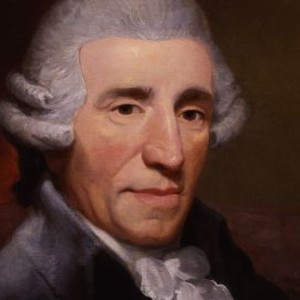 In Search of Haydn - Rotten Tomatoes