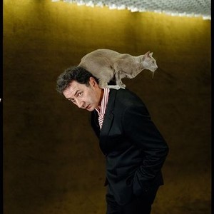 The Rabbi's Cat - Rotten Tomatoes