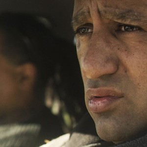 Wayne Hapi - Rotten Tomatoes