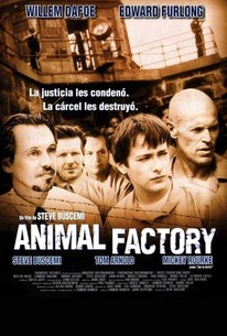 Animal Factory | Rotten Tomatoes