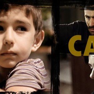 Can - Rotten Tomatoes