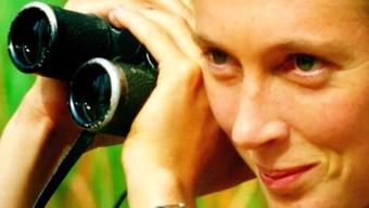 Jane - Rotten Tomatoes