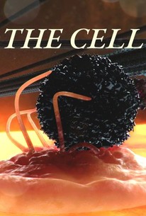The Cell | Rotten Tomatoes