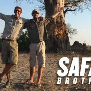 Safari Brothers - Rotten Tomatoes