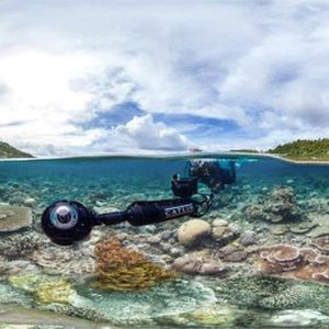 Chasing Coral - Rotten Tomatoes