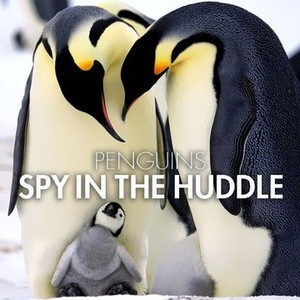 Penguins: Spy in the Huddle - Rotten Tomatoes