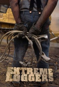 Extreme Loggers: Season 1 | Rotten Tomatoes