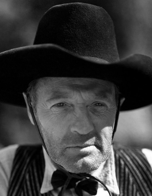 Forrest Taylor - Rotten Tomatoes