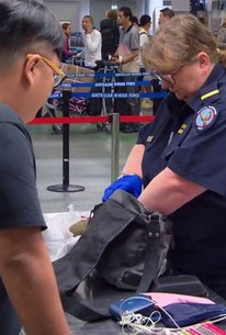 Border Security: Season 14, Episode 12 | Rotten Tomatoes