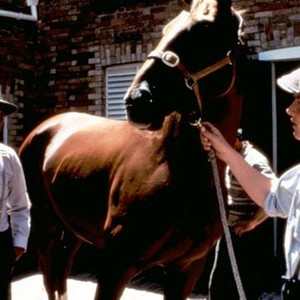 Tom Burlinson - Rotten Tomatoes