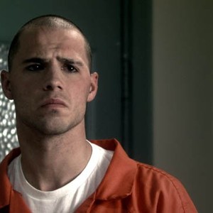 The Fall - Rotten Tomatoes