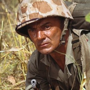 Beach Red - Rotten Tomatoes