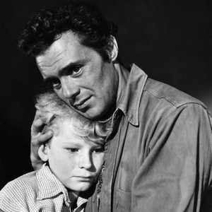 Jon Whiteley - Rotten Tomatoes