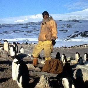 Antarctica - Rotten Tomatoes