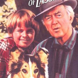 The Magic of Lassie - Rotten Tomatoes