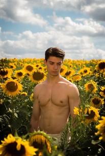 Sunflower | Audience Reviews | Rotten Tomatoes