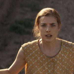 The White King - Rotten Tomatoes