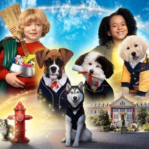 Pup Academy - Rotten Tomatoes