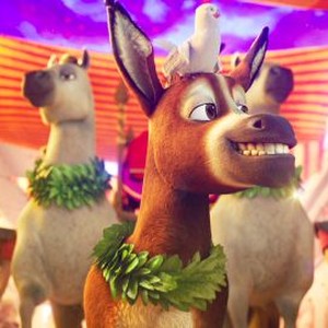 The Star - Rotten Tomatoes