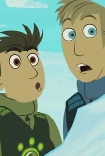 Wild Kratts: Season 1, Episode 7 - Rotten Tomatoes